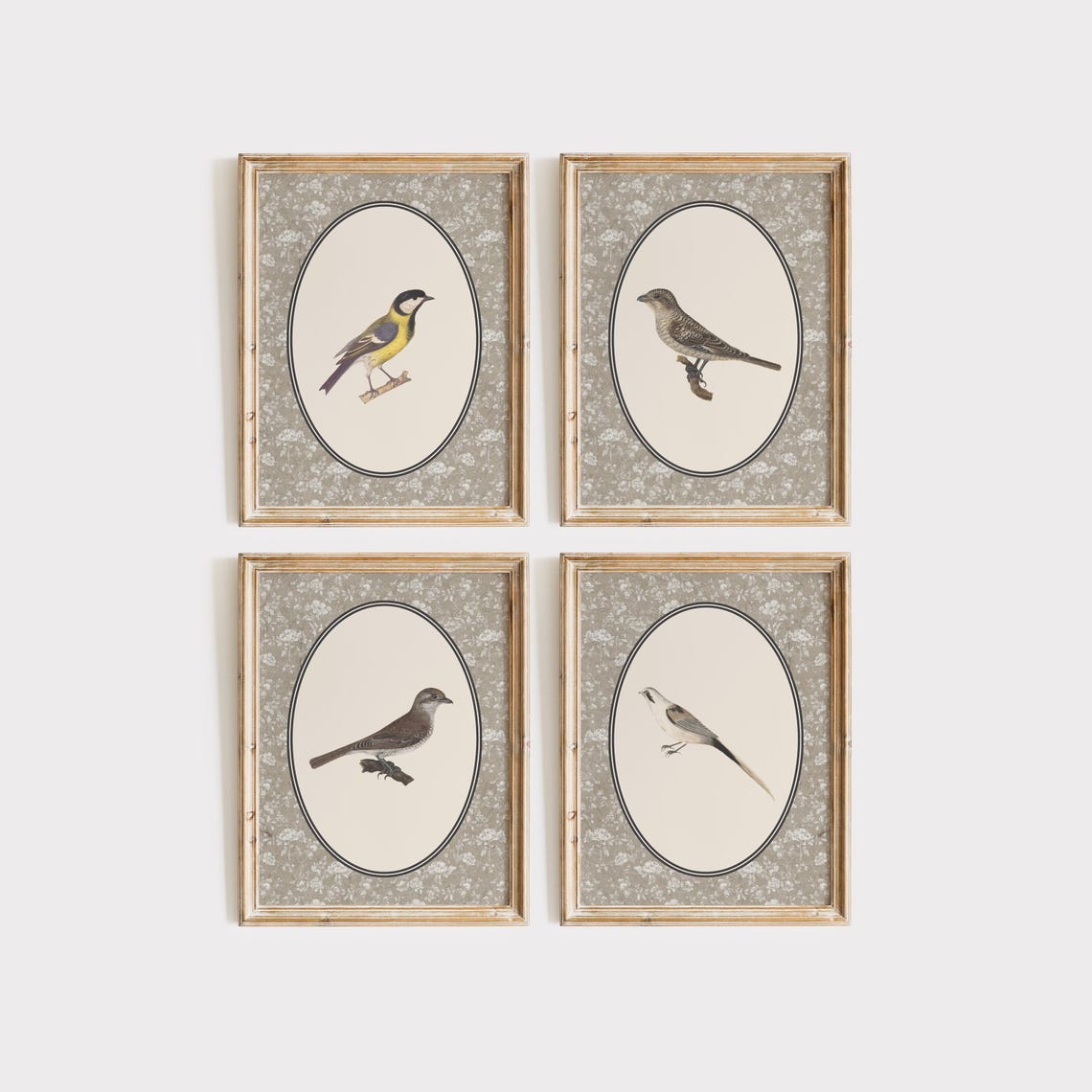 Cottagecore Vintage Bird Wall Art Print Set. Mailed to You. Physical ...