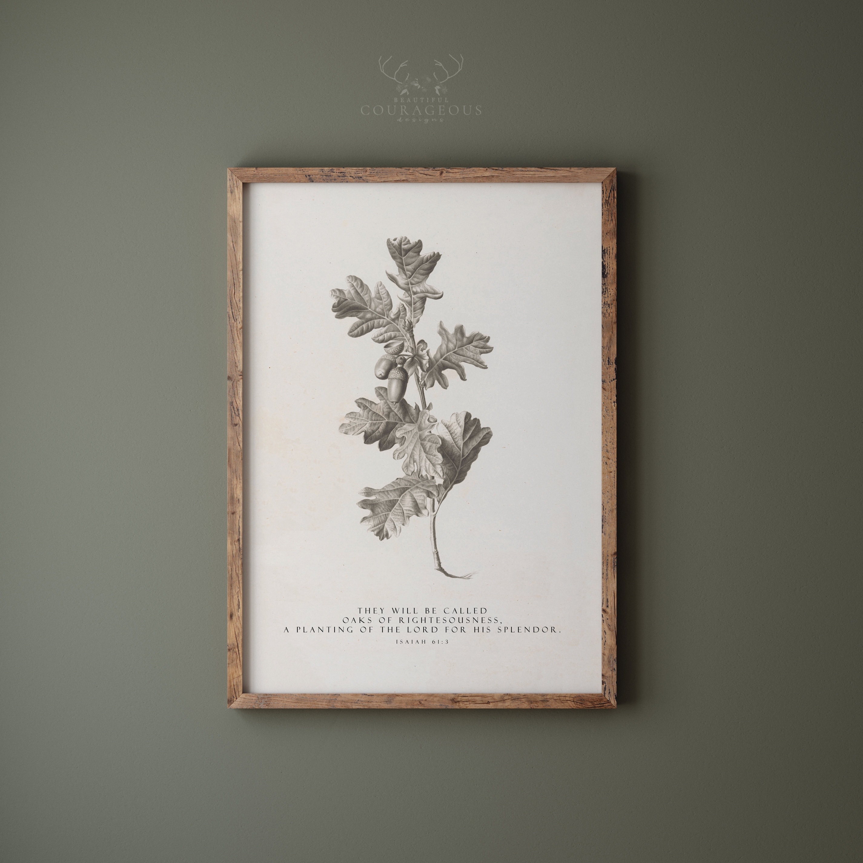 Nature Scripture Print Download. Vintage Illustration of an Oak Tree ...