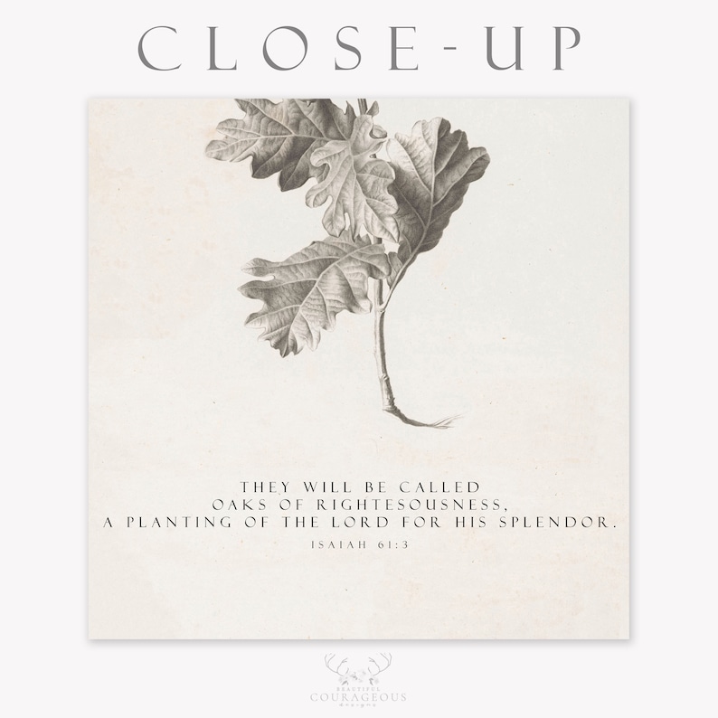 Nature Scripture Print Download. Vintage Illustration of an Oak Tree ...