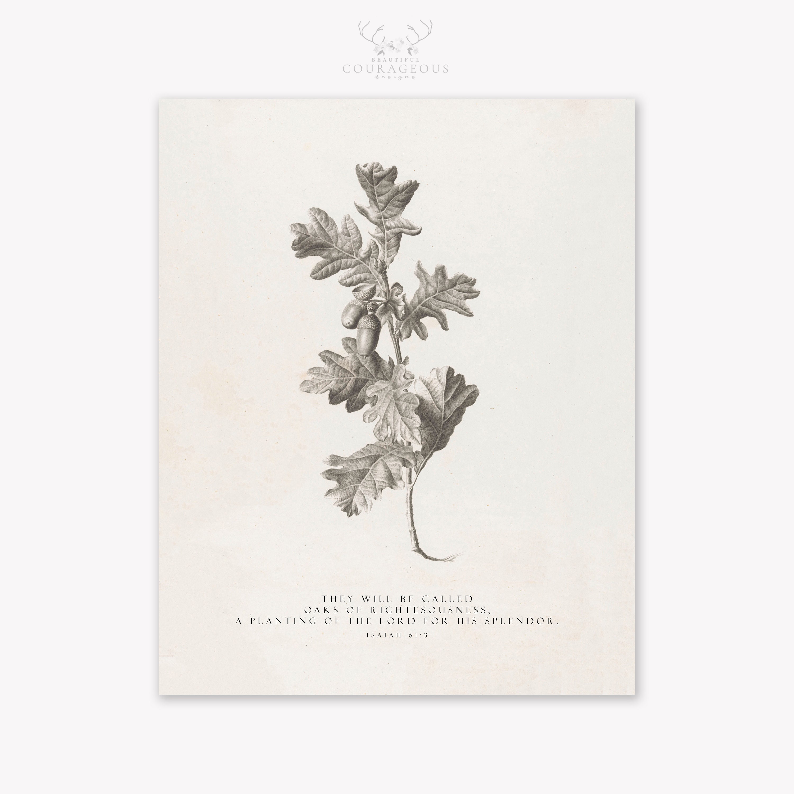 Nature Scripture Print Download. Vintage Illustration of an Oak Tree ...