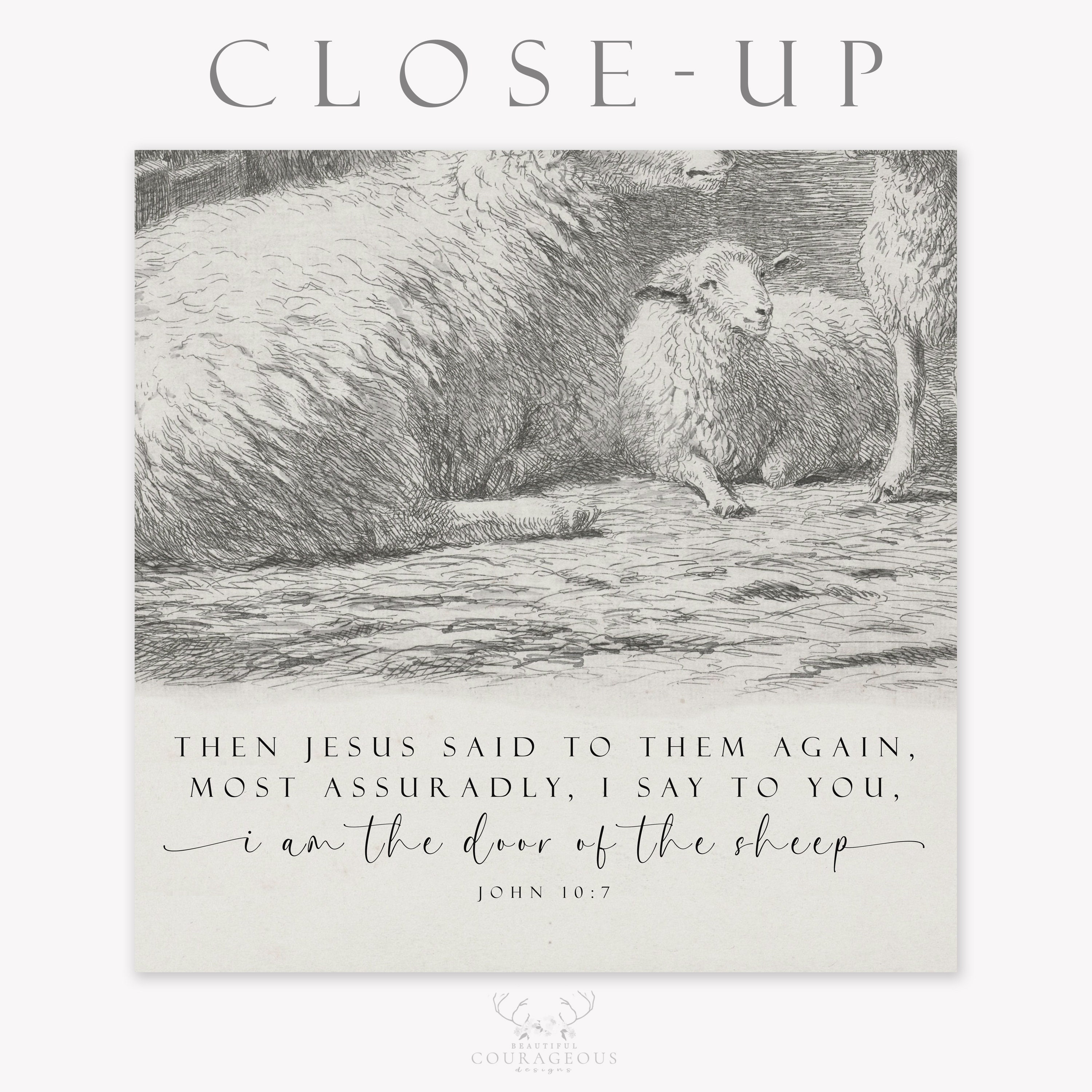 Sheep Scripture Print Download. Vintage Sheep Illustration and Bible ...