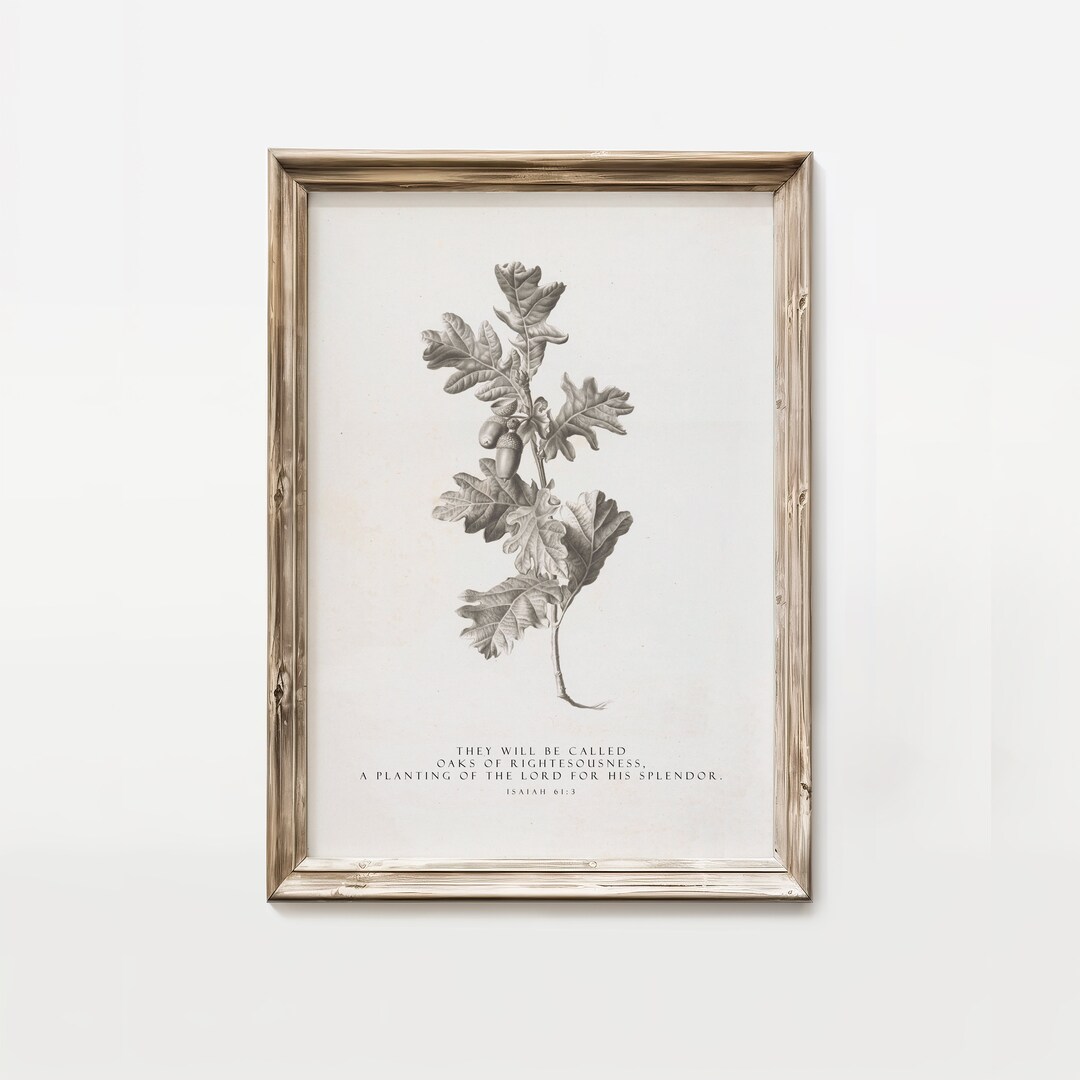 Nature Scripture Print Download. Vintage Illustration of an Oak Tree ...