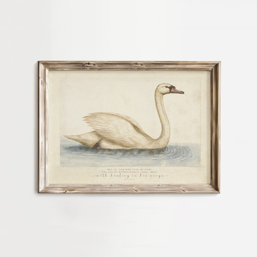Primitive Vintage Scripture Art Print Download. Vintage Swan Painting ...
