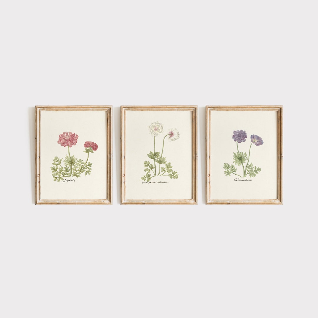 Vintage Floral Scripture Print Set Download. Vintage Botanical Art Set ...
