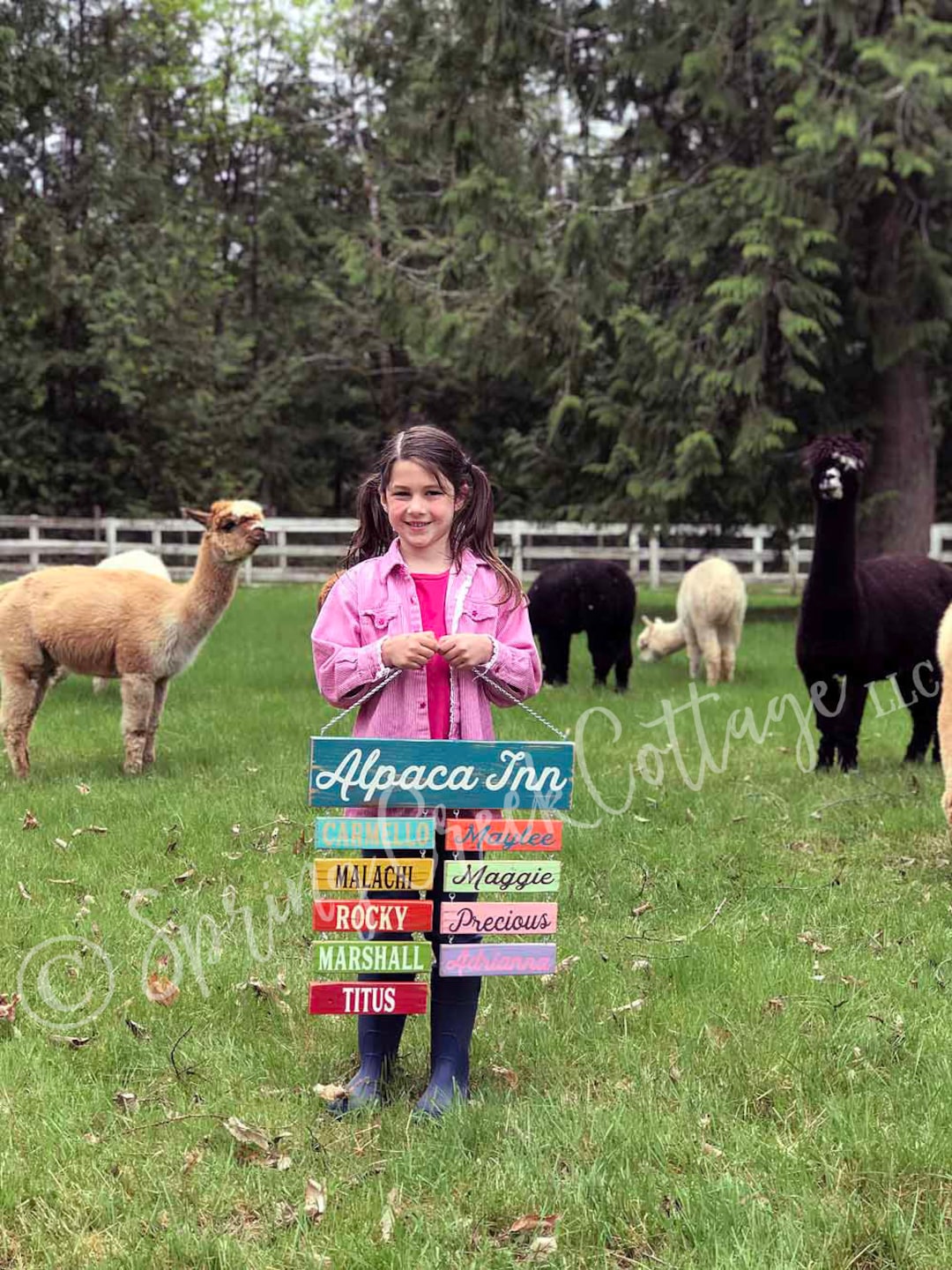 Personalized Alpaca Sign Set Custom for Your Herd Beautifully Hand ...