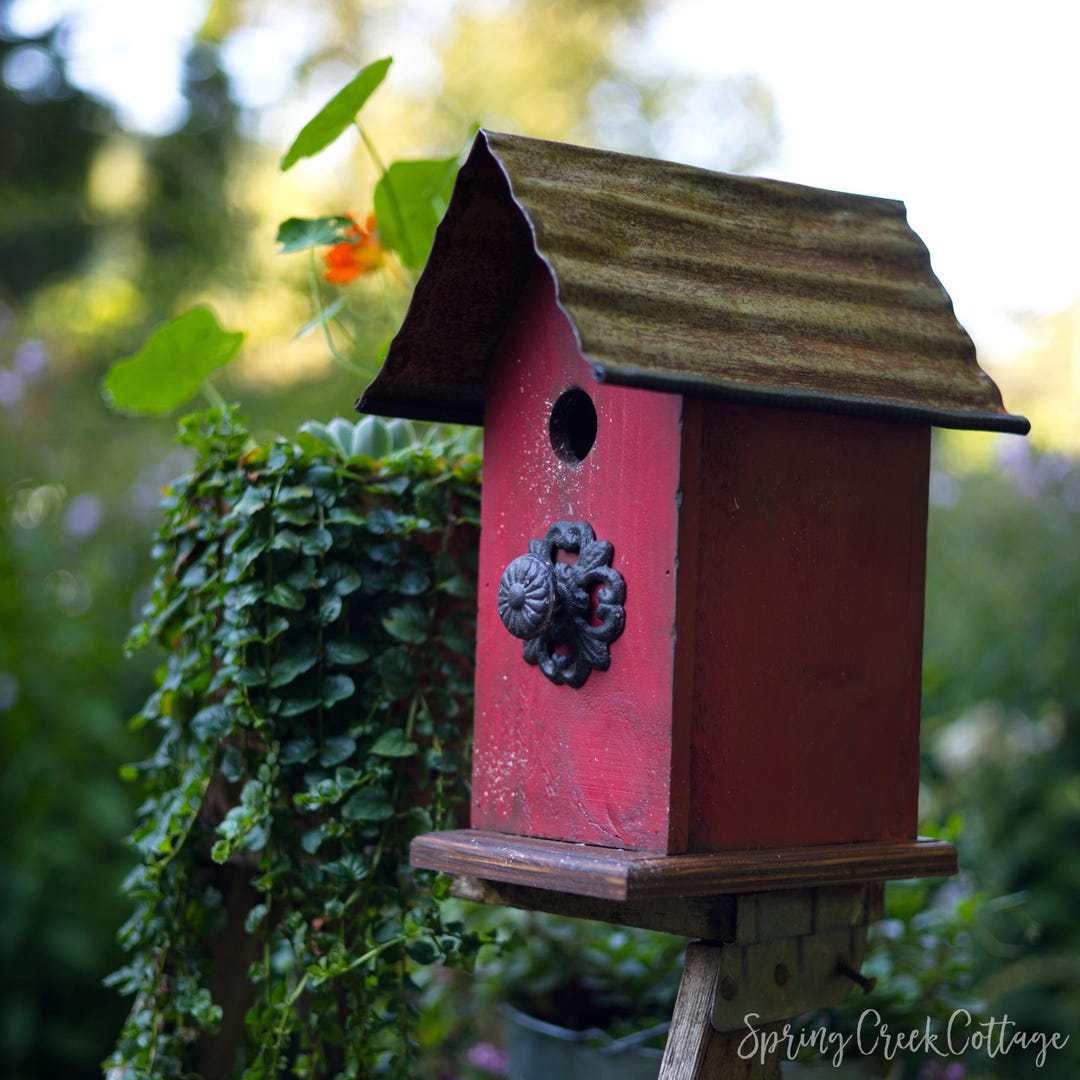 Hand-painted Rustic Cedar Bird House - Pacific Northwest Decor - Etsy