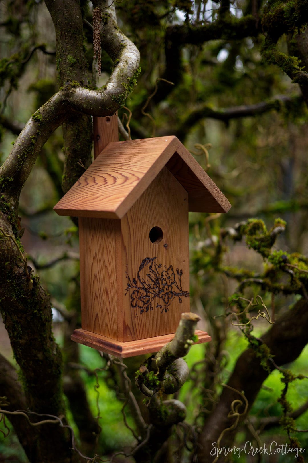 Handcrafted Cedar Bird House: Wren, Nuthatch, Swallow Nesting Box - Etsy