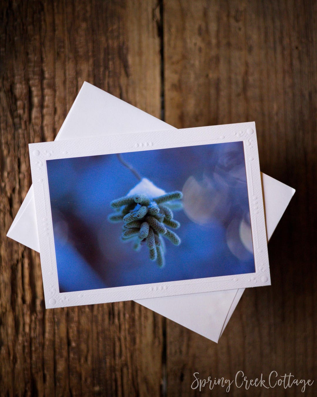 Handmade Filbert Catkins Photo Card: Frameable Floral Note Card - Etsy