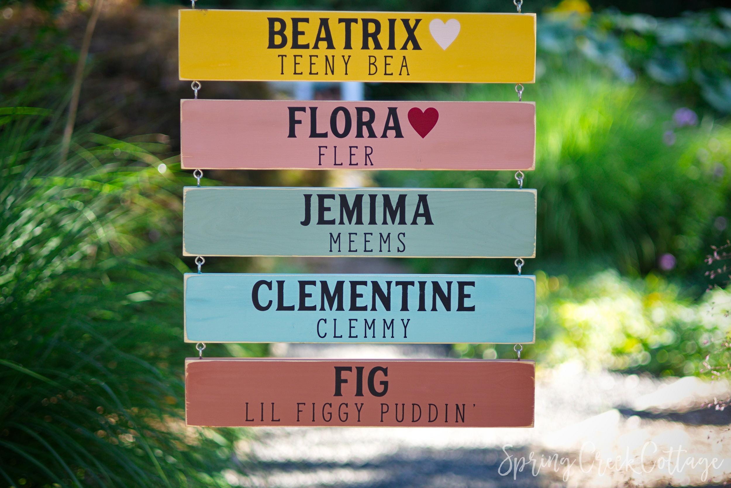 Personalized Chicken Name Sign: Hand-painted Rustic Wood Farm Decor - Etsy