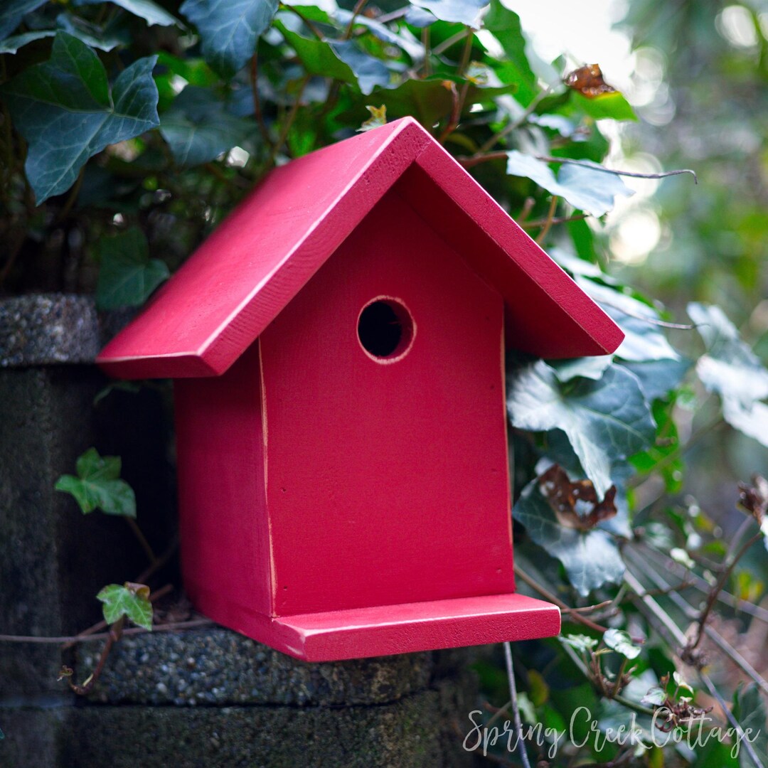Handcrafted Cedar Bird House: Pacific Northwest Songbird Nesting Box - Etsy