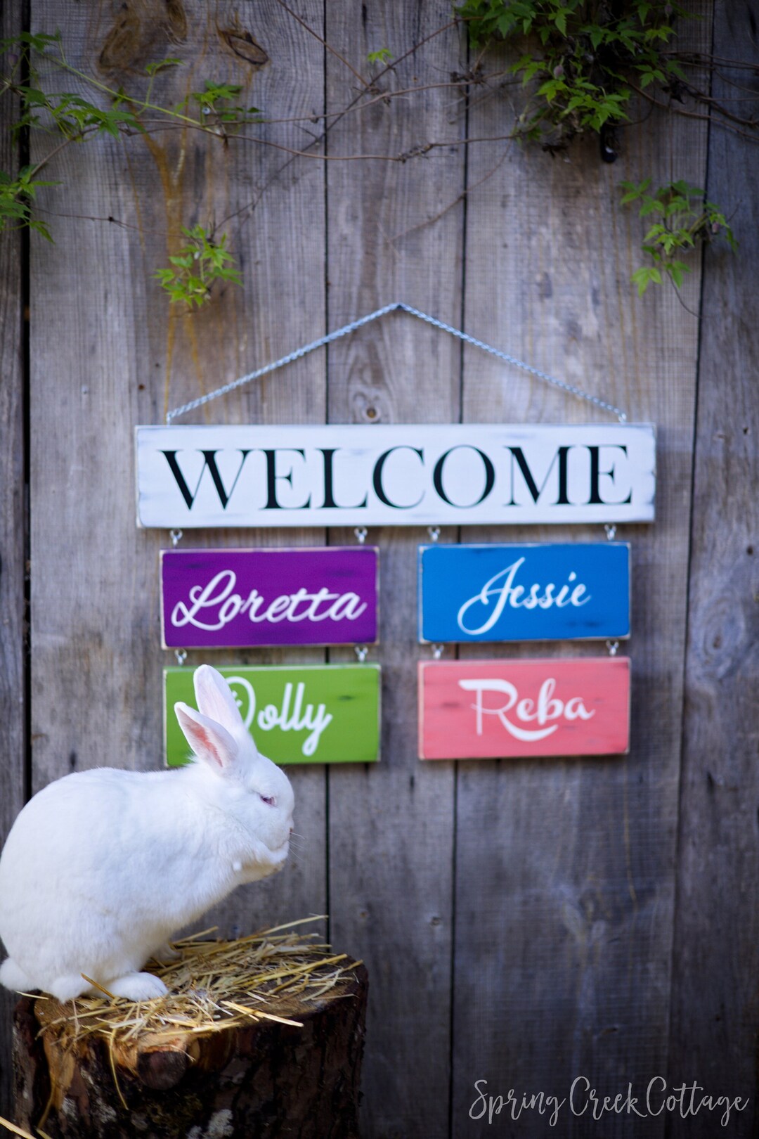 Personalized Bunny Name Sign Set Custom for Your Rabbit Hutch ...