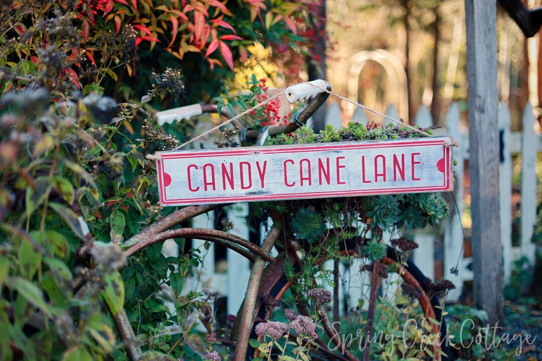 Christmas Signs Candy Cane Lane Wood Sign Beautifully Hand-painted on A ...