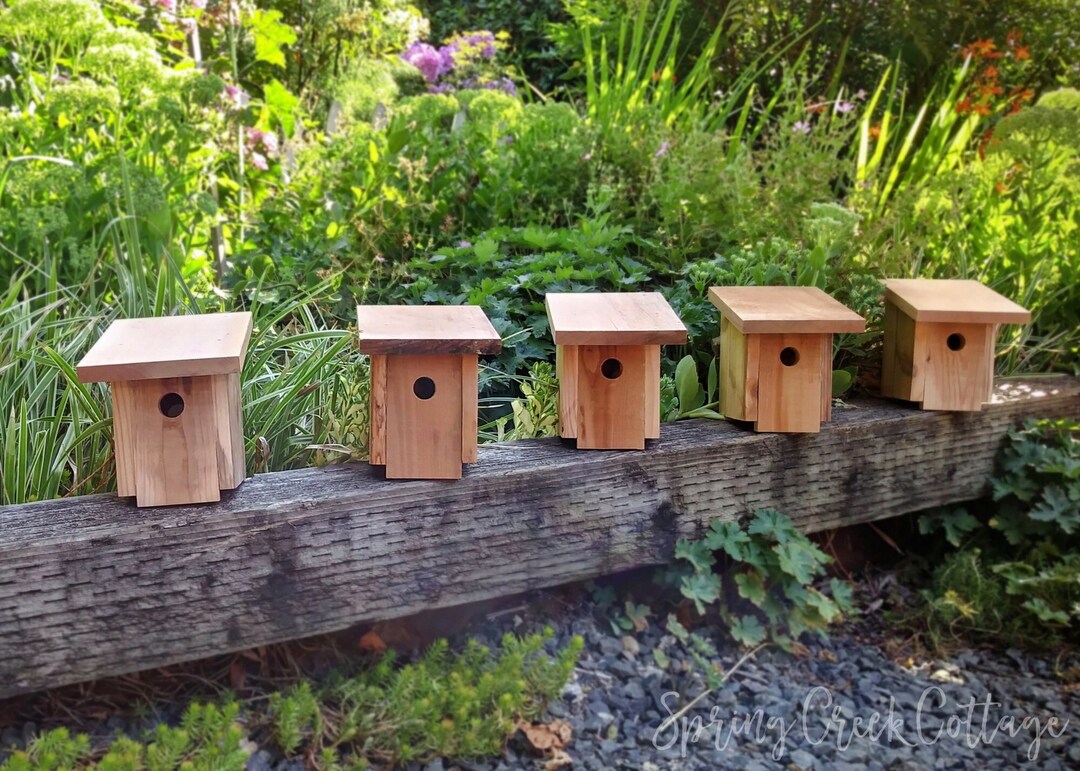Handcrafted Cedar Bird House: Songbird Nesting Box - Etsy