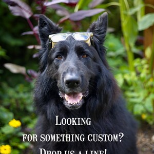 Hand-painted Beware of Dog Signs Custom Colors Beautifully Handcrafted ...