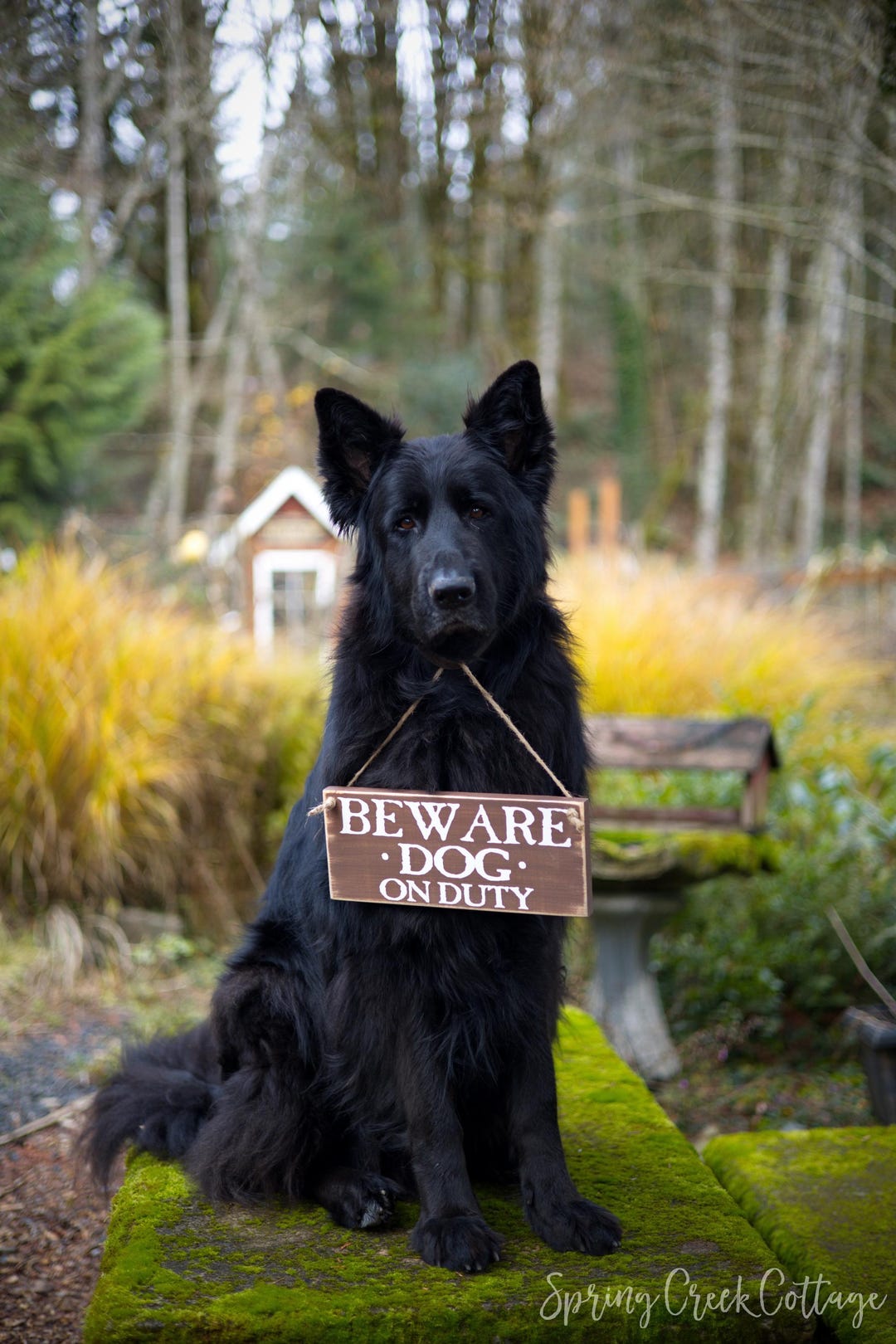 Beware of Dog Custom 12" Sign Hand-painted Beautifully Handcrafted on a ...
