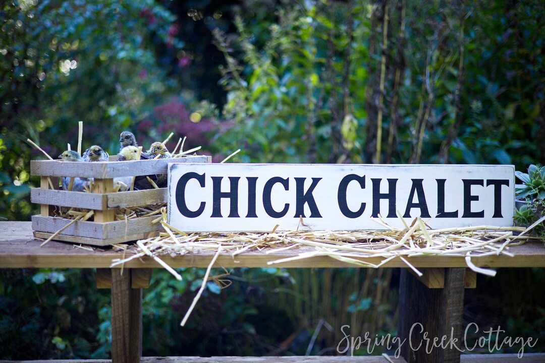 Chicken Coop chick Chalet Henhouse Sign Beautifully Handmade and Hand ...