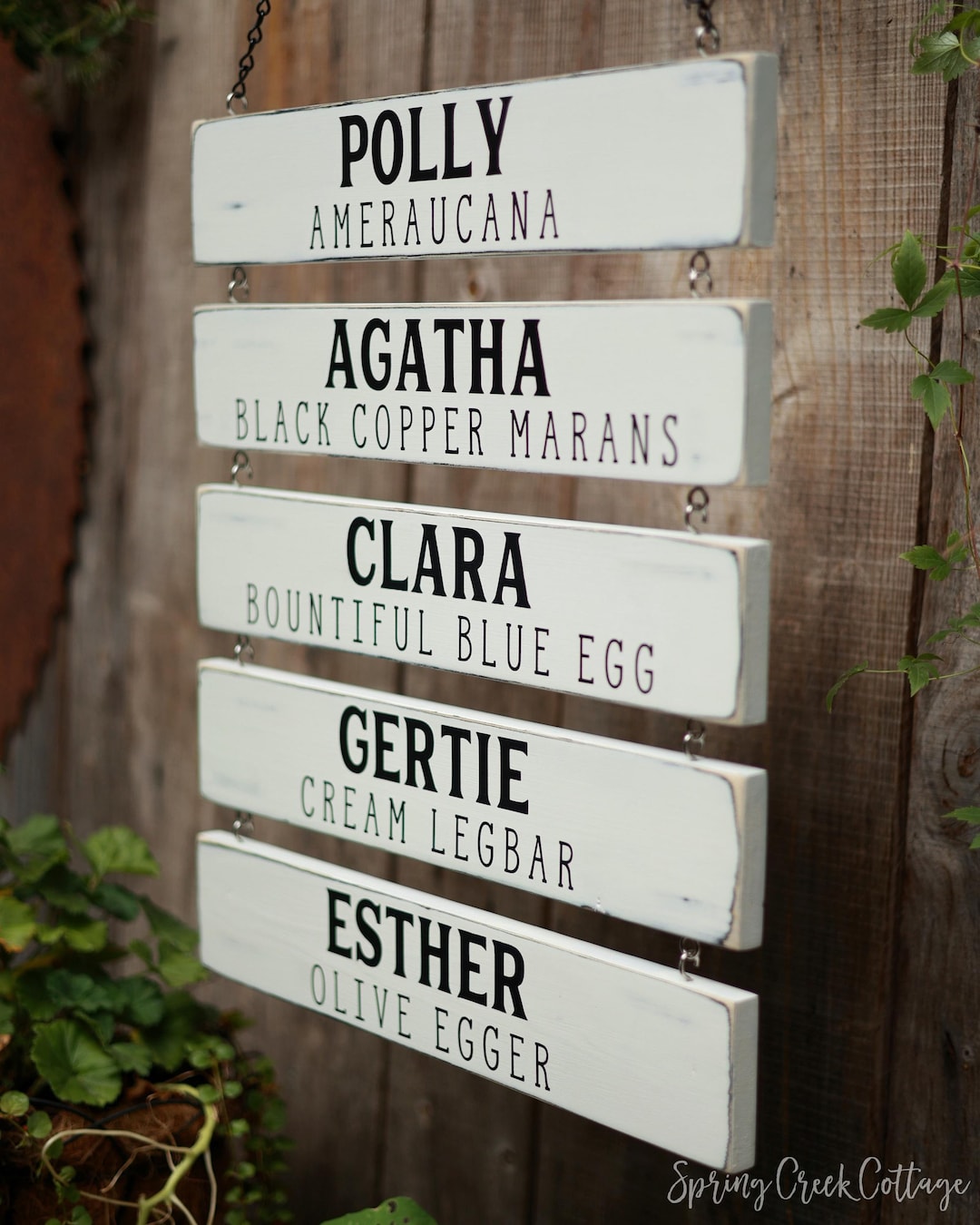Personalized Chicken Name Sign: Hand-painted Rustic Wood Farm Decor - Etsy