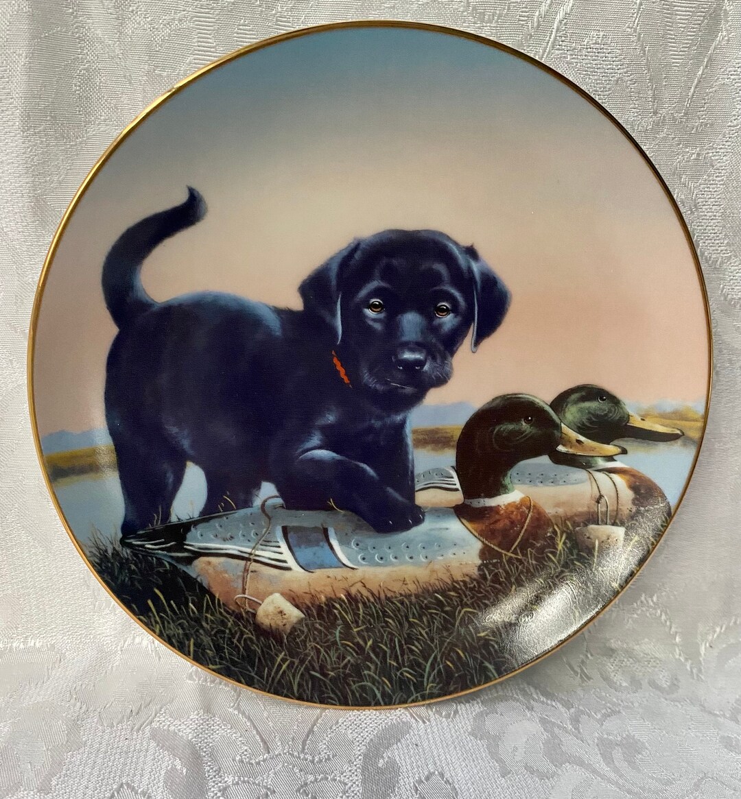 1992 Phillip Crowe Dog Duck Collector Plate the Sportsmen Finder's - Etsy