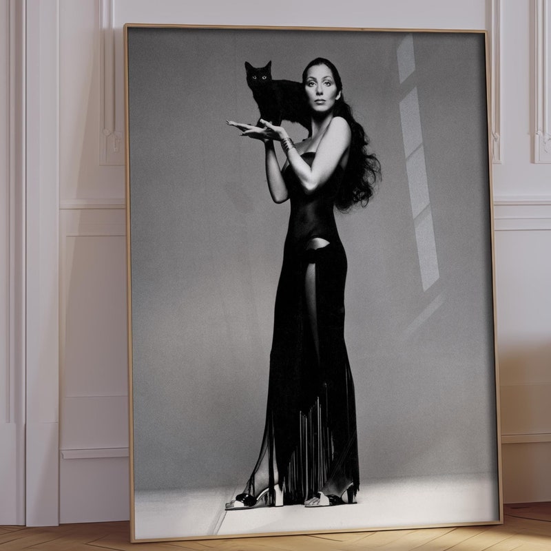 Cher Art Print - Etsy