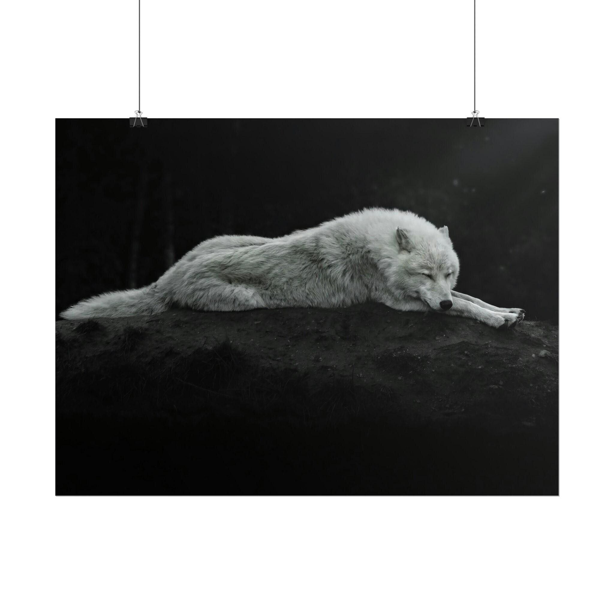 White Wolf Poster, Arctic Wolf Canvas, Polar Wolf Wall Art, Sleeping ...