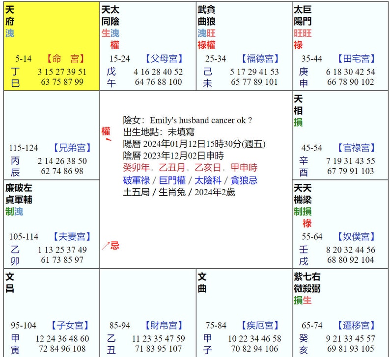 Purple Star Astrology Life Chart Reading ziwei Dou Shou 紫微斗數論命 Answer ...
