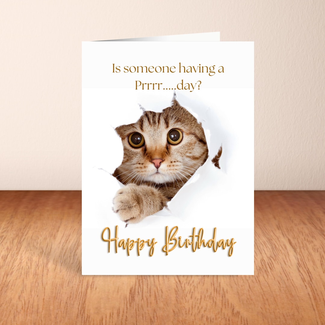 Fun Cat Themed Birthday Card Printable Instant Digital Download for Cat ...