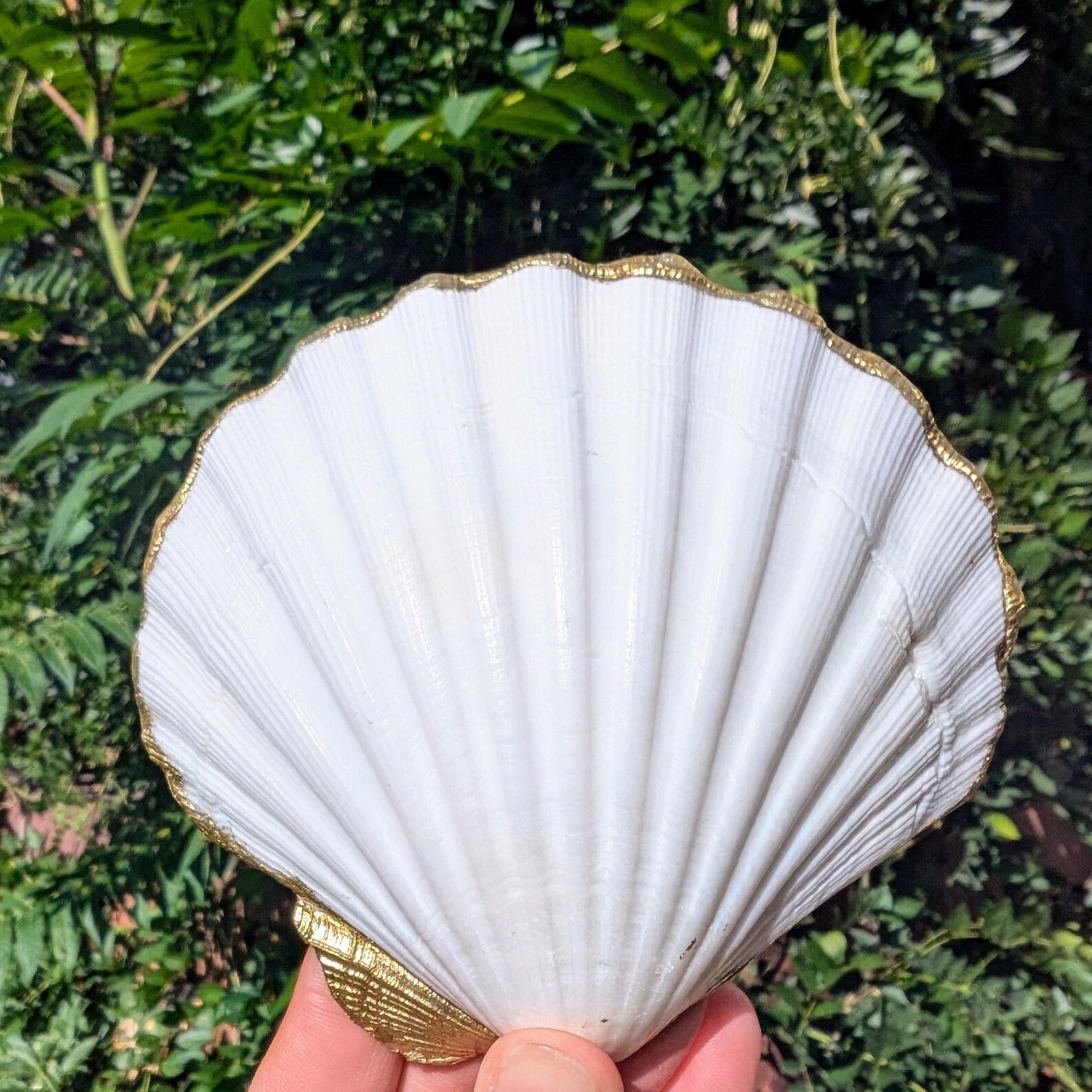 Art Deco Seashell Trinket Tray Coastal Decor Handmade Jewelry Dish Gift ...