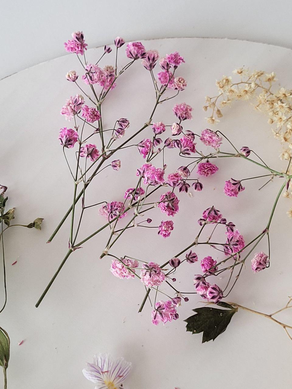 Dried Flowers for Resin Art, Botanical Set #2 for Resin Jewelry and ...