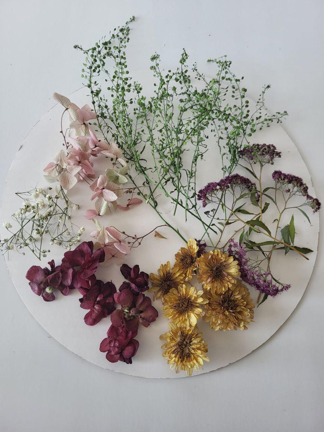 Create Stunning Resin Art and Candles, Set #4, Premium Handpicked Dried ...
