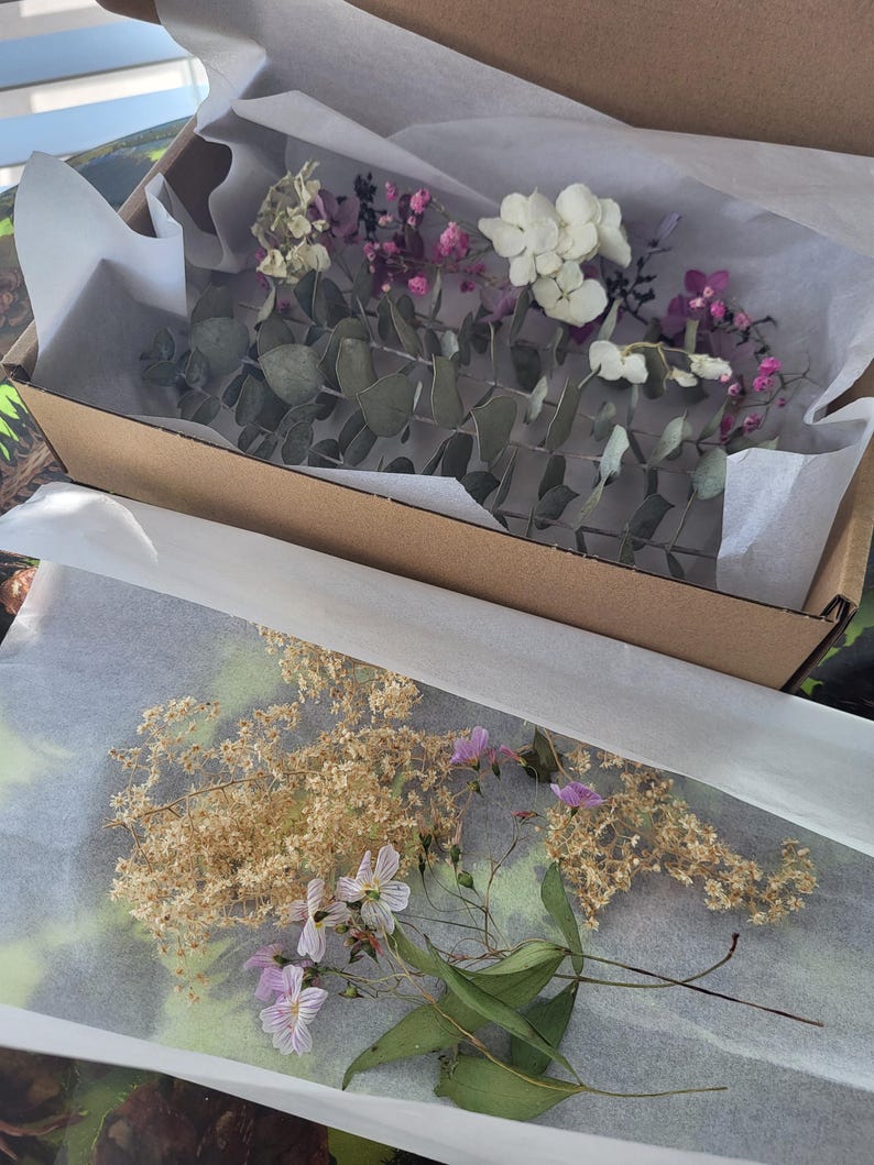 Dried Flowers for Resin Art, Botanical Set #2 for Resin Jewelry and ...