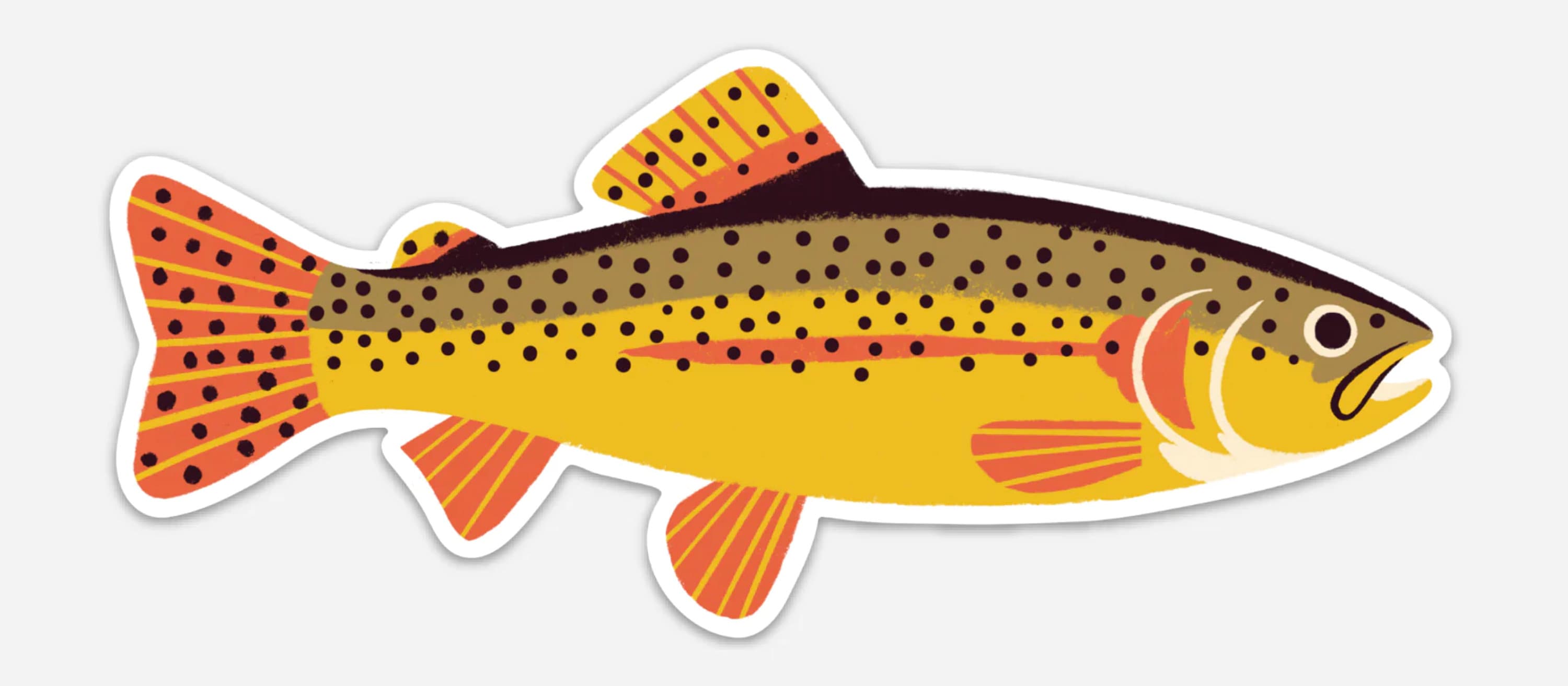 Gila Trout Sticker Decal - Etsy