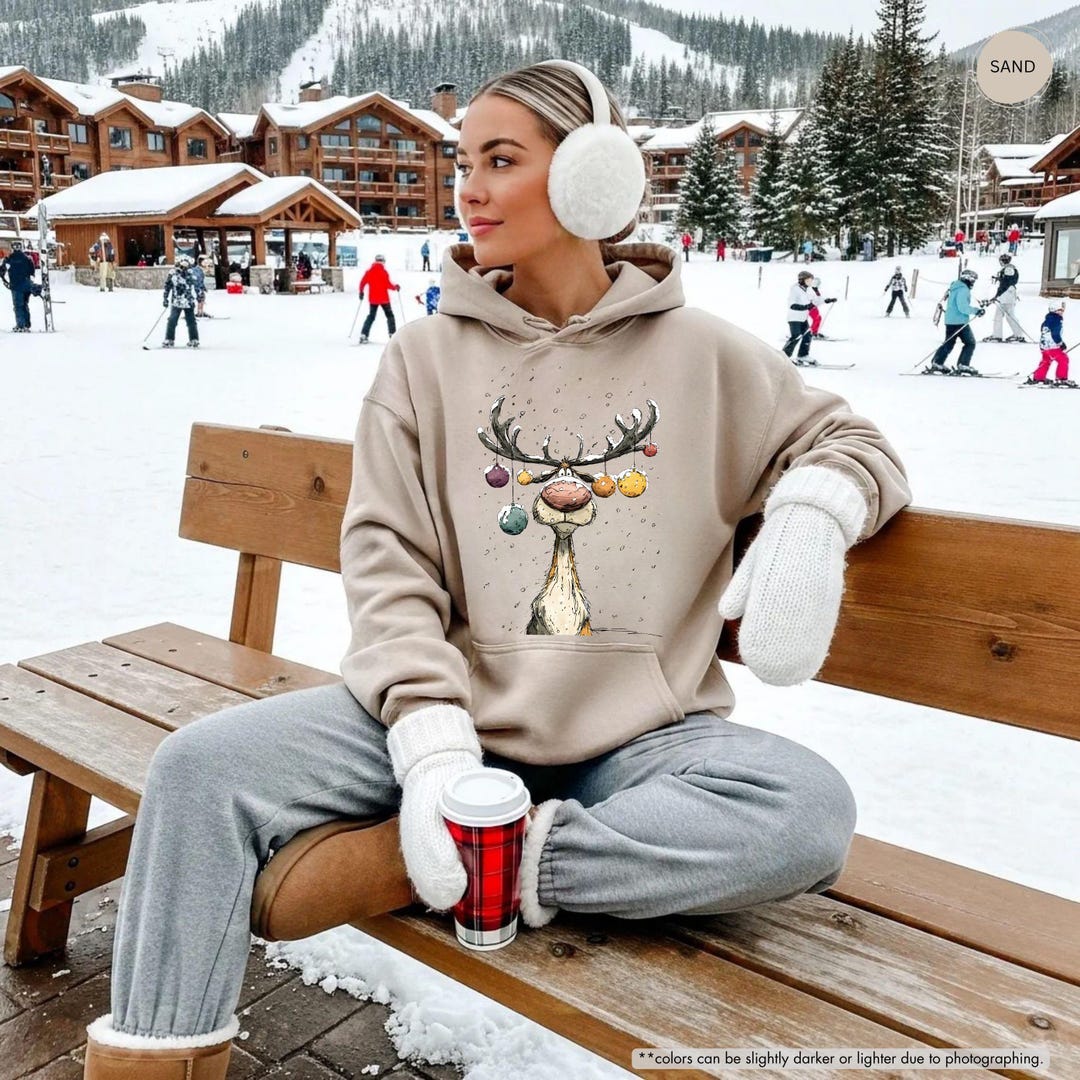 Funny Reindeer Christmas Sweatshirt, Cute Holiday Hoodie, Winter Cozy ...