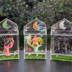 4x4x8 Decorated Jumping Spider Enclosure - Etsy