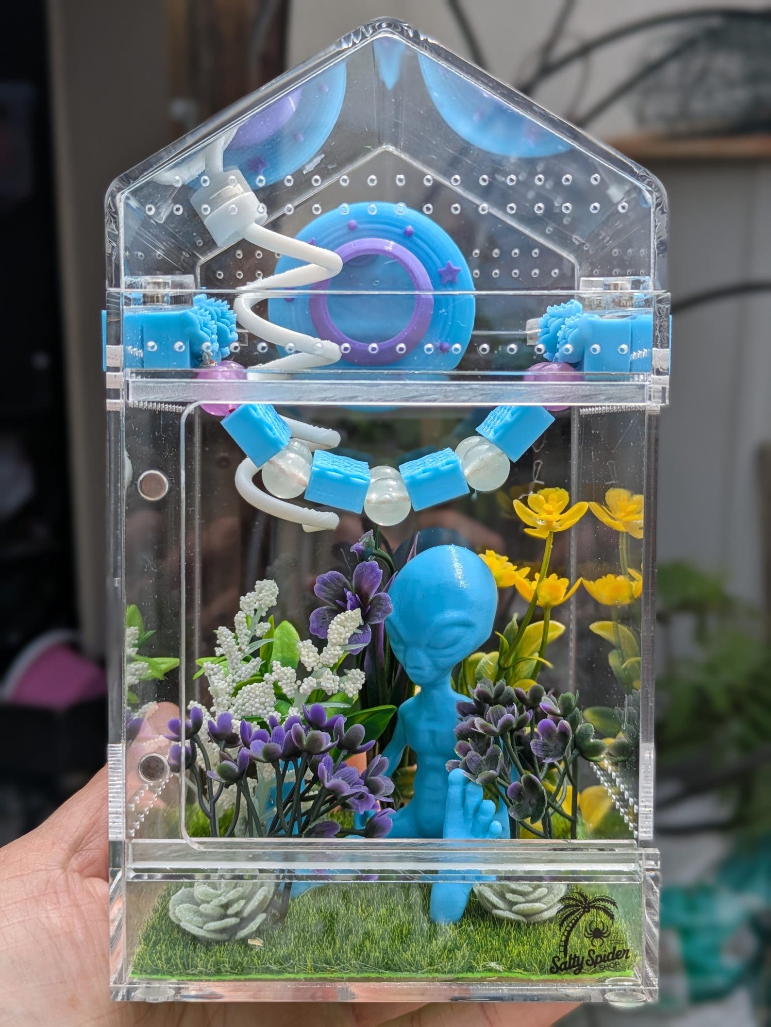 4x4x6 Decorated Jumping Spider Enclosure Alien Glow in the Dark *MADE ...