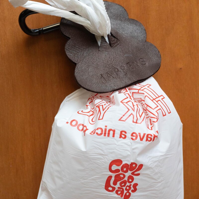 Poop Keychain - Etsy