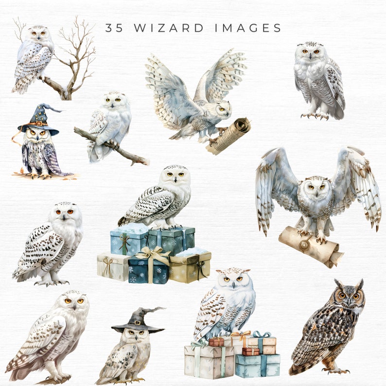 Magic Owls Clipart, Magic School Clipart, Wizard Owl PNG, Watercolor ...
