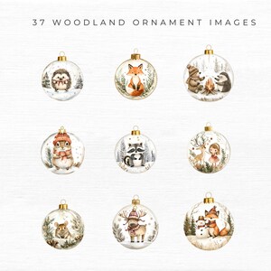 Christmas Woodland Animals Clipart, Winter Animal Clipart, Cute Forest ...