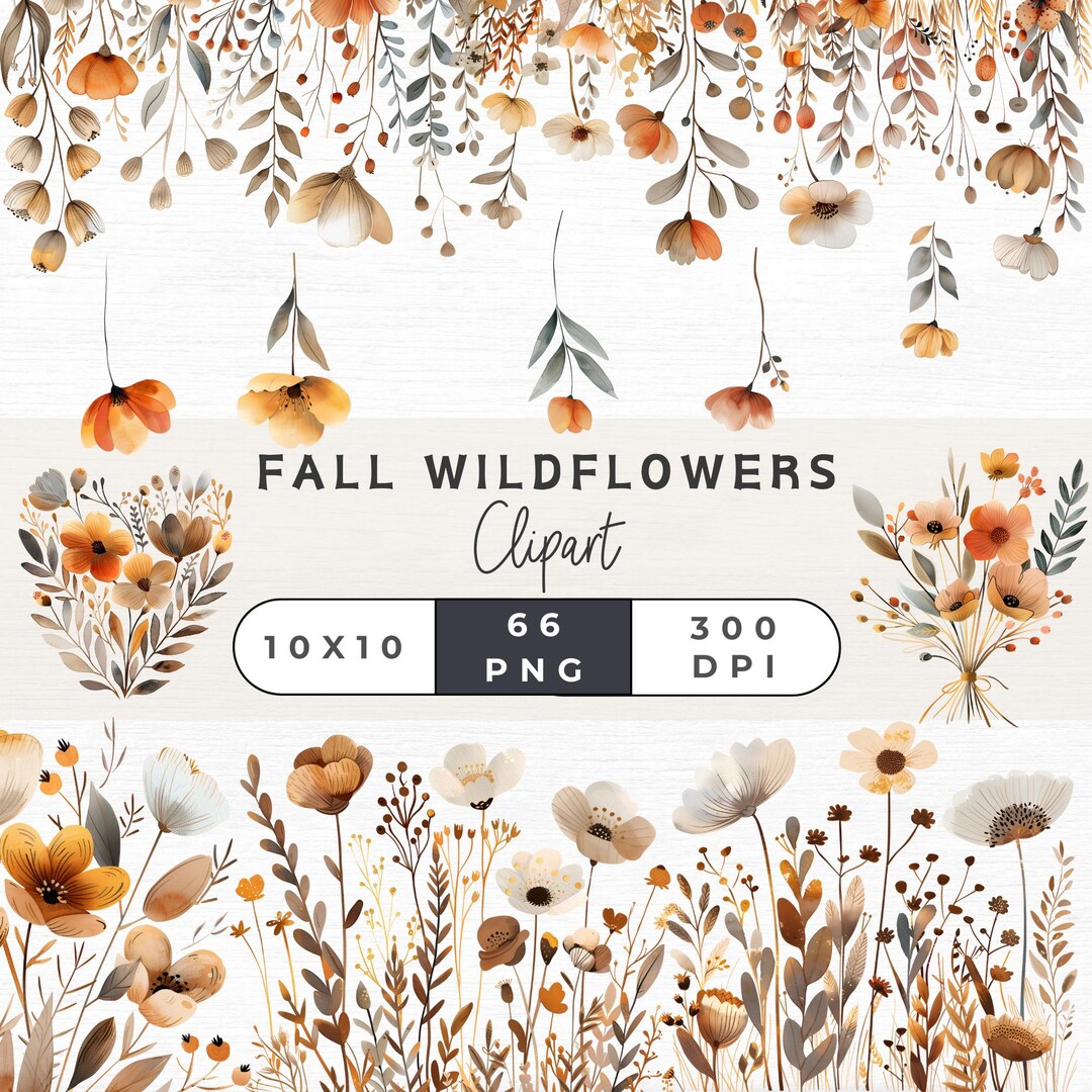 Fall Floral Clipart, Fall Wildflower Clipart, Watercolor Floral Clipart ...