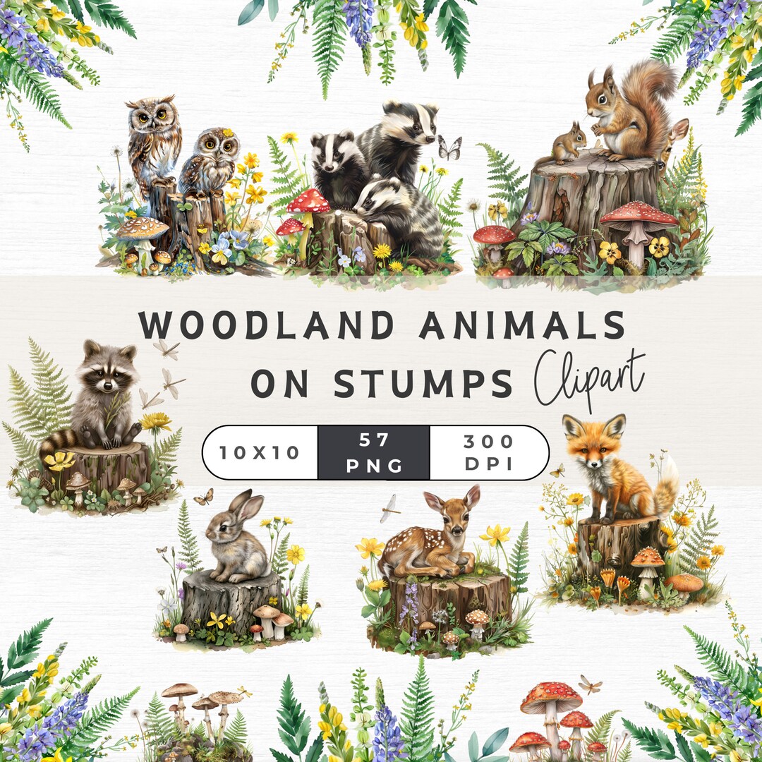 57 Woodland Nursery, Watercolor Woodland, Baby Animals Clipart, Nursery ...