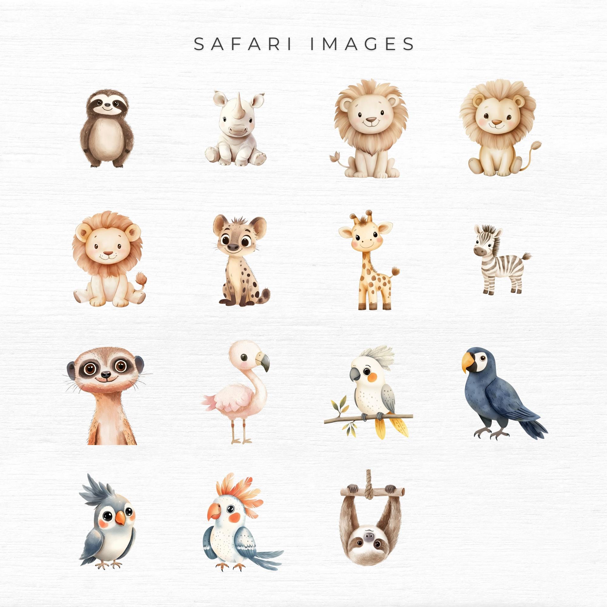 Cute Safari Animals Clipart, Jungle Animal PNG, Digital Download for ...