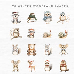 Winter Woodland Animals Clipart, Cute Forest Creatures, Christmas ...