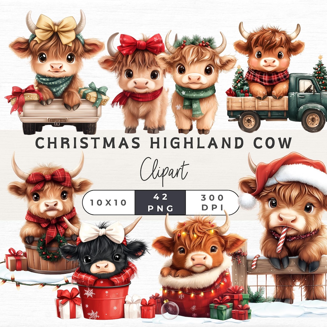 Christmas Highland Cow Clipart, Cute Baby Cow PNG for Holiday ...