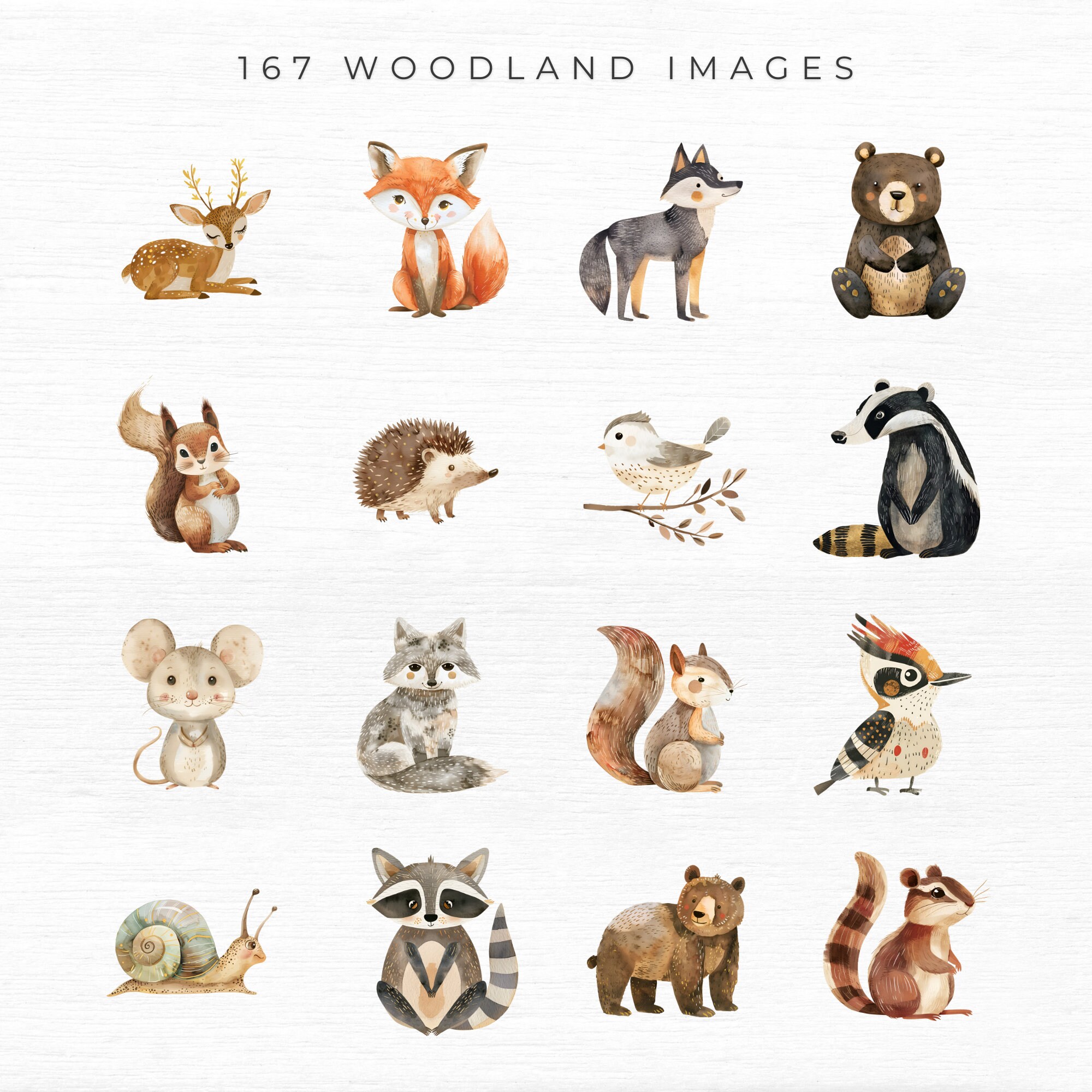 167 Woodland Animals Clipart, Woodland Nursery, Boho Woodland ...
