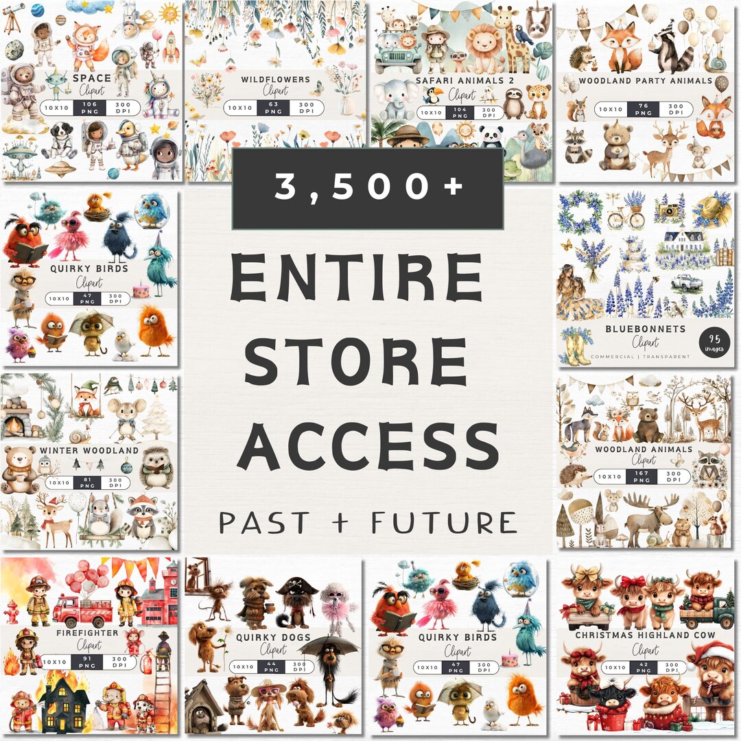 Entire Store Access Clipart Bundle, Commercial Use, PNG Graphics ...