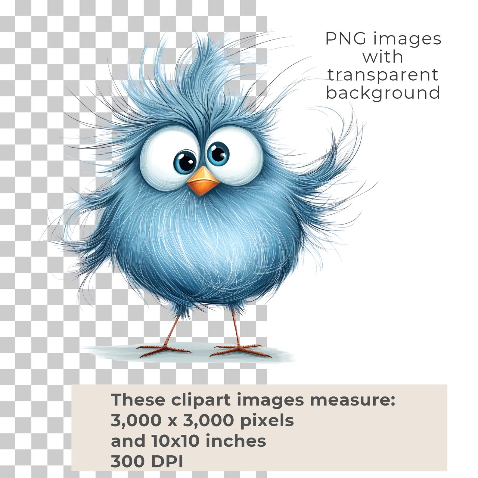 Quirky Birds Clipart, Funny Bird Png, Sarcastic Birds, Whimsical Birds ...