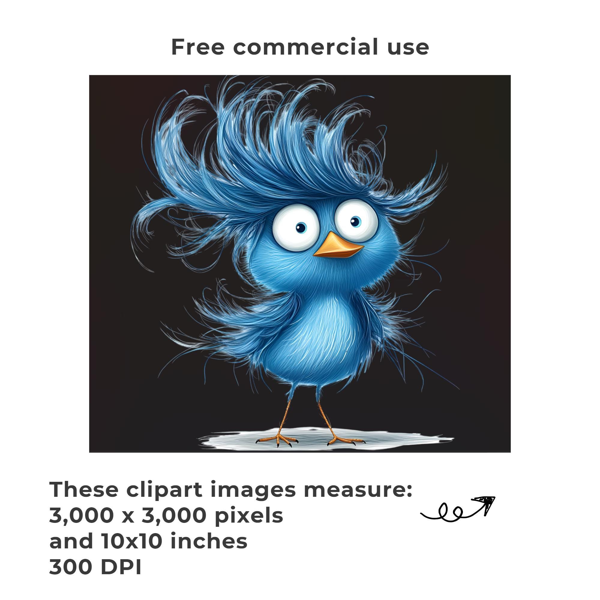 Quirky Birds Clipart, Funny Bird Png, Sarcastic Birds, Whimsical Birds ...