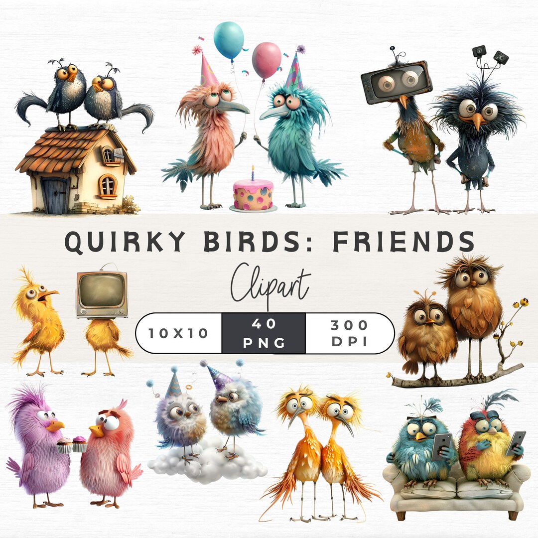 40 Quirky Bird Clipart, Funny Birds PNG, Funny Animals Png, Watercolor ...