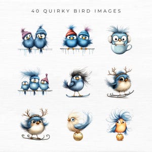 Quirky Birds Clipart, Funny Bird Png, Sarcastic Birds, Whimsical Birds ...