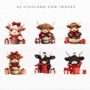 Christmas Highland Cow Clipart, Cute Baby Cow PNG for Holiday ...