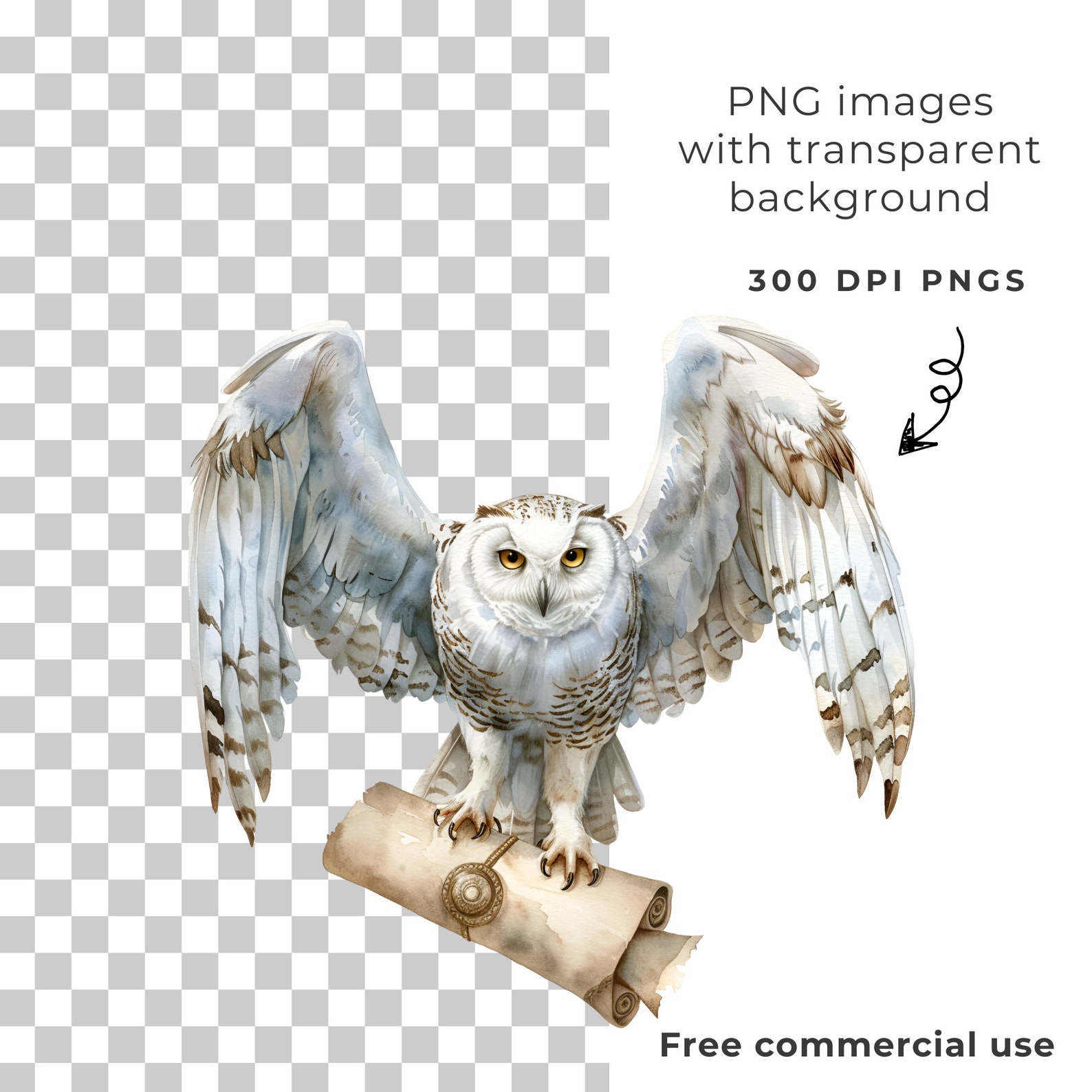 Magic Owls Clipart, Magic School Clipart, Wizard Owl PNG, Watercolor ...